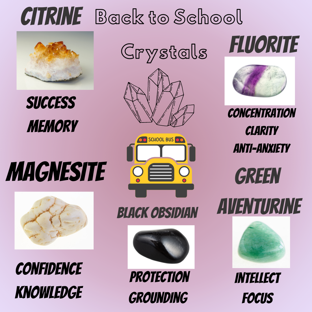 Crystal Back to School Pouch – Luna Enchanted