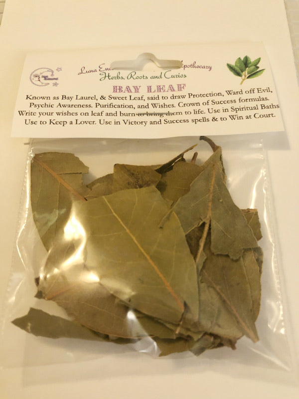 Bay Leaf – Luna Enchanted