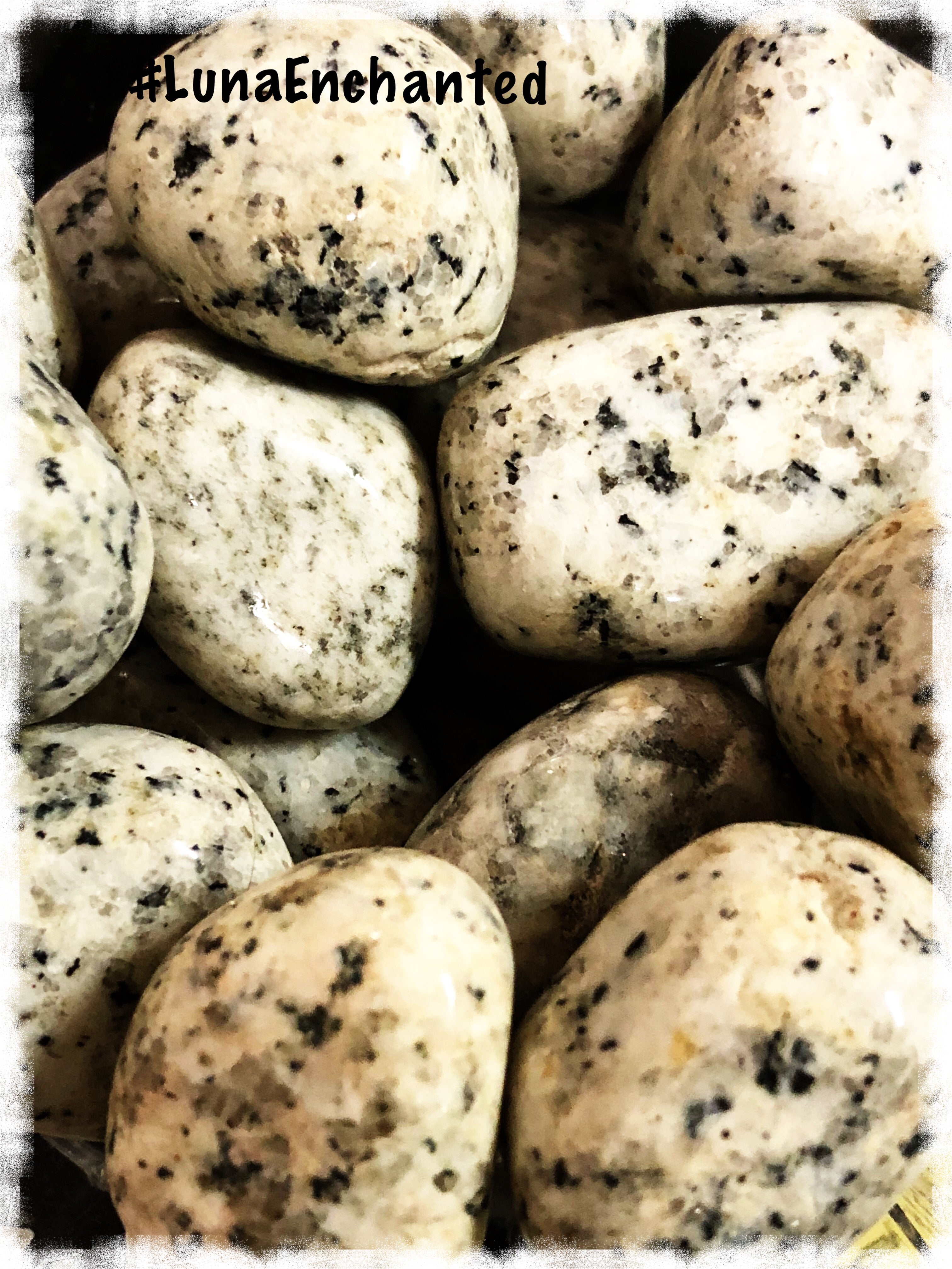 Dalmation Agate – Luna Enchanted